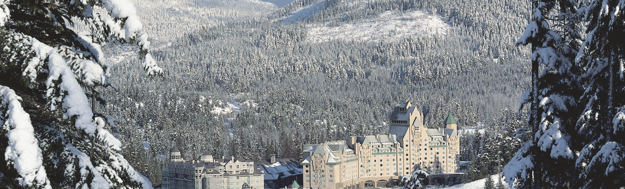 Welcome to the Canadian Spine Society - Canadian Spine Society